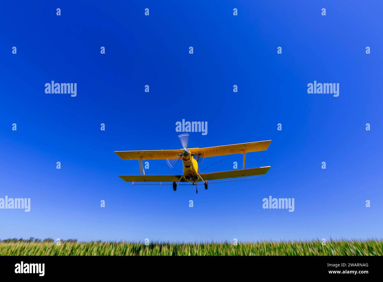 Ia, USA. 30th July, 2015. Low-flying crop duster combats pests ...