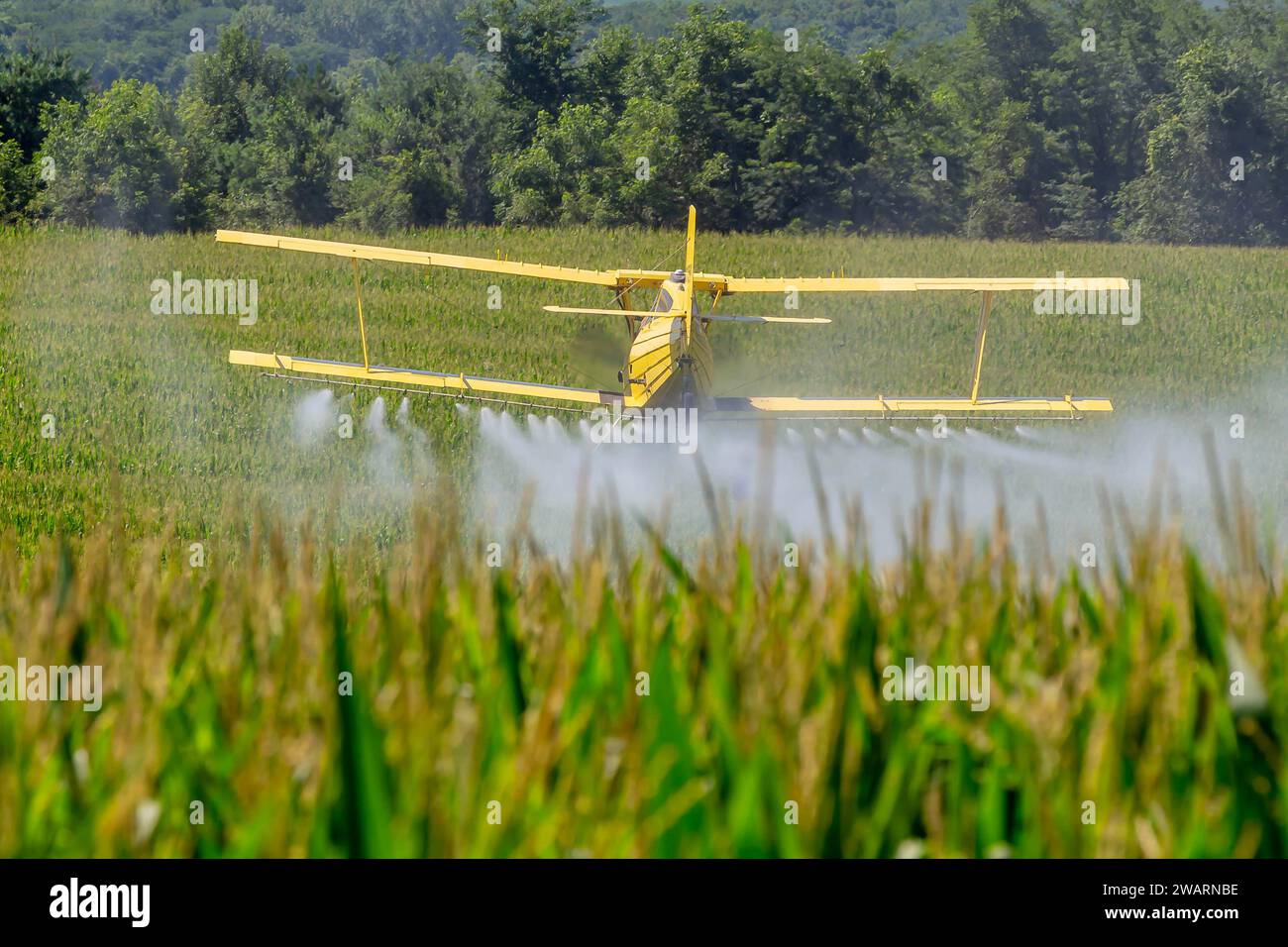 Ia, USA. 30th July, 2015. Low-flying crop duster combats pests ...
