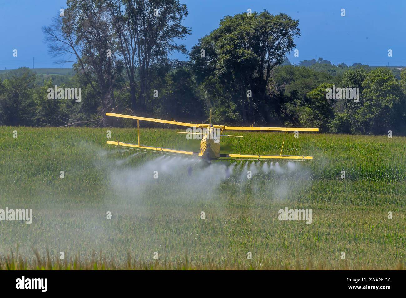 Ia, USA. 30th July, 2015. Low-flying crop duster combats pests ...