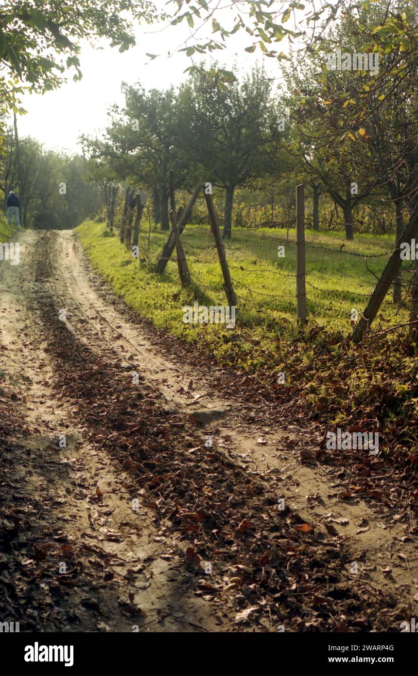 Vrancea County, Romania, approx. 2000. Dirt road through orchards ...