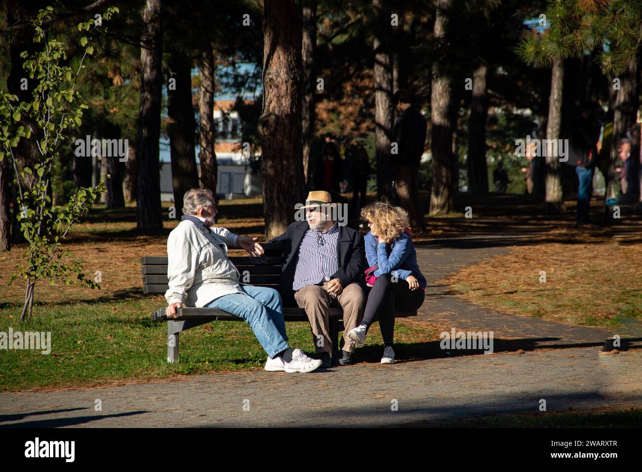 Elderly friends sitting and having rest on bench in public park on nice ...