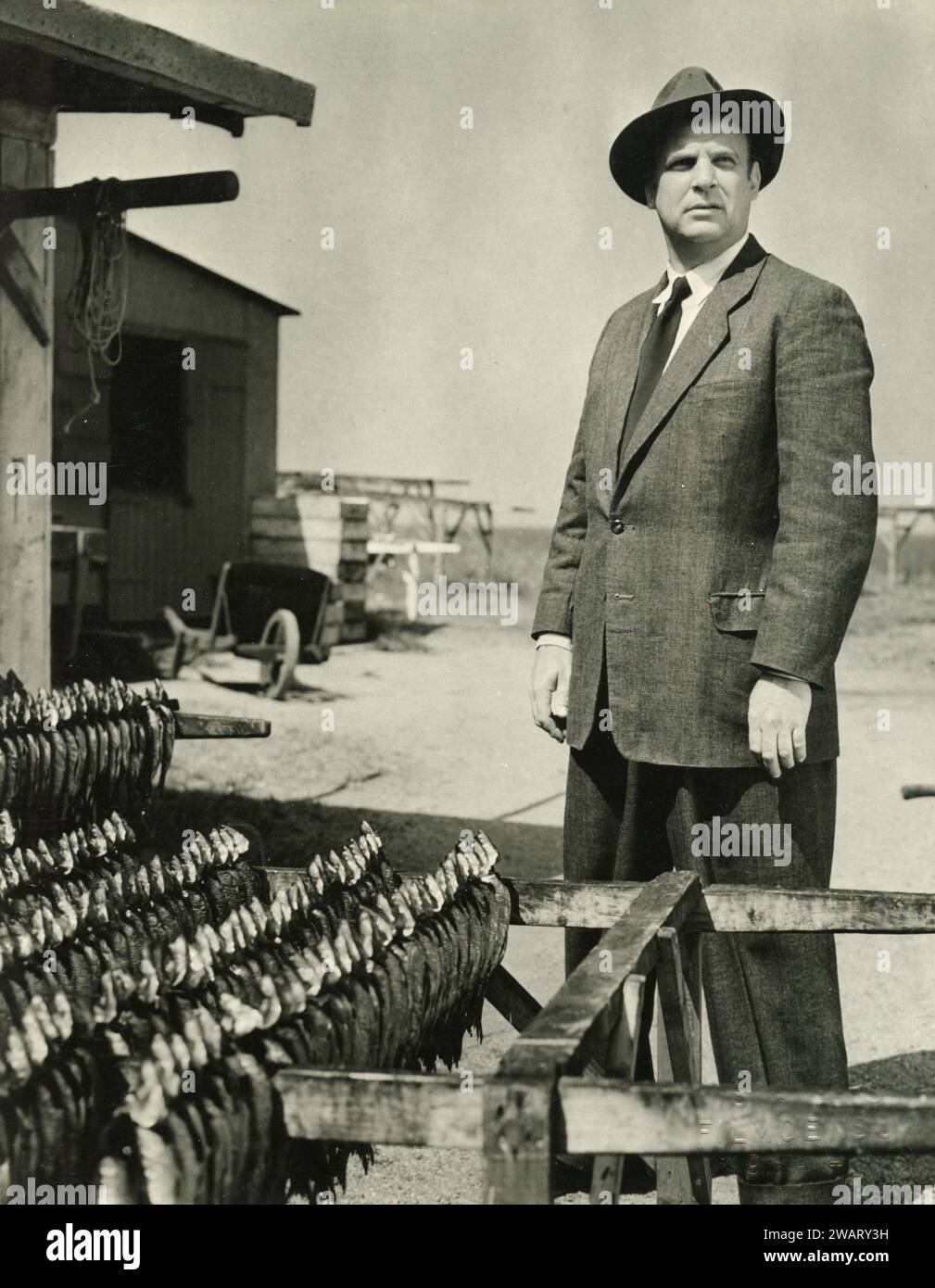Danish actor in a movie scene, Denmark 1950s Stock Photo - Alamy