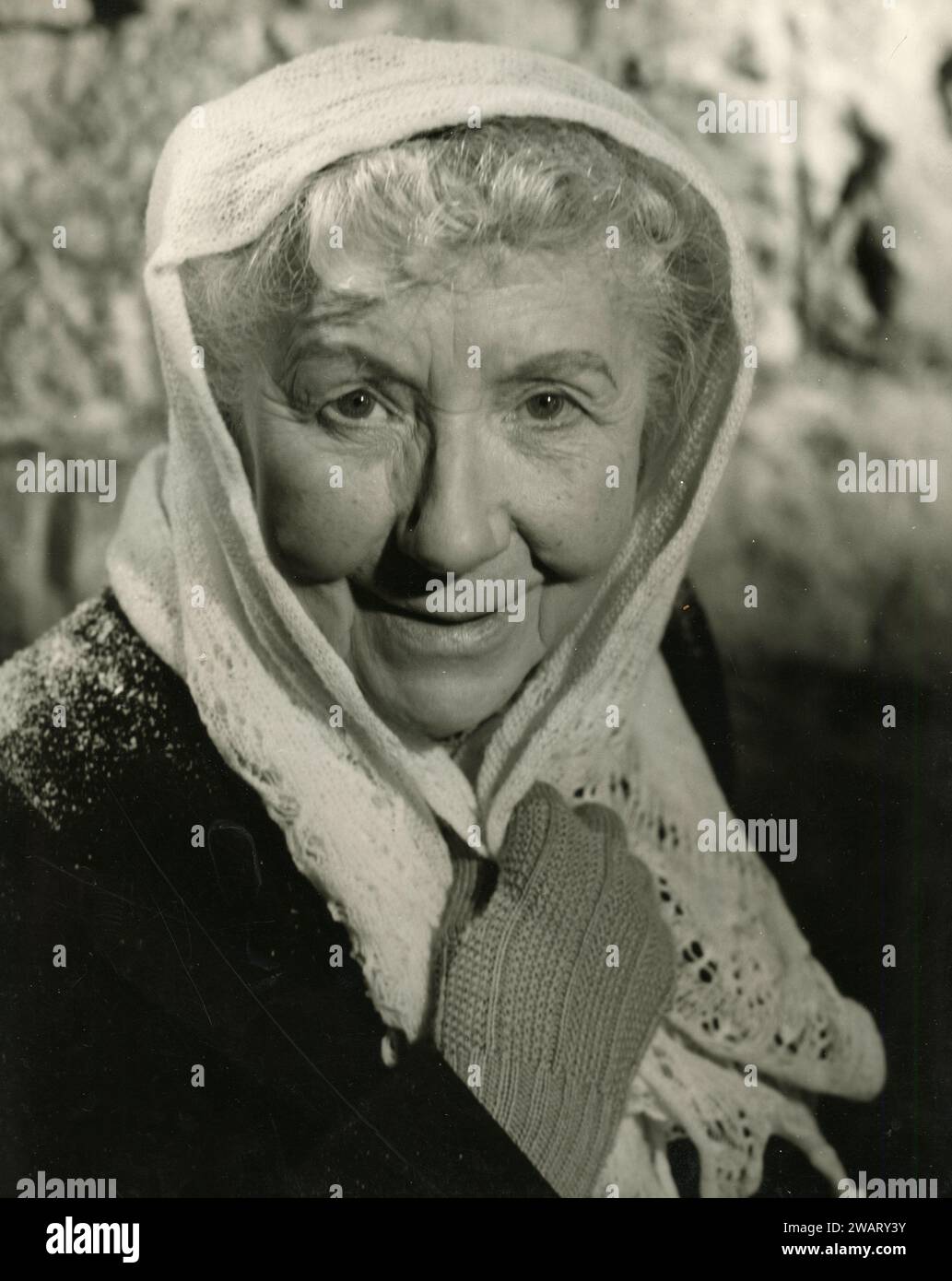 Angelica Star's Instagram, Twitter & Facebook on IDCrawl