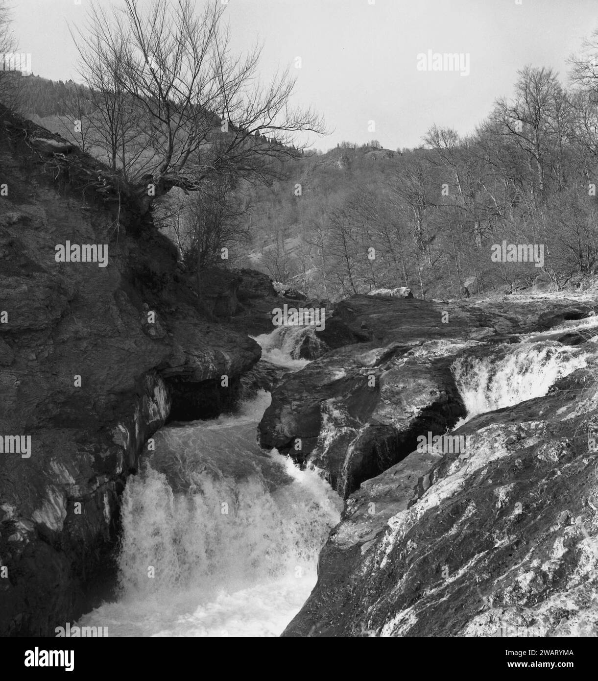 Lepsa, Vrancea County, Romania, approx. 1978. View of the Putna ...