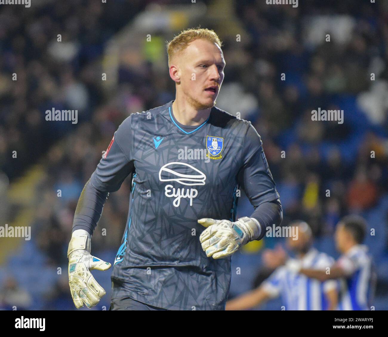 Cameron Dawson of Sheffield Wednesday during the Emirates FA Cup Third ...