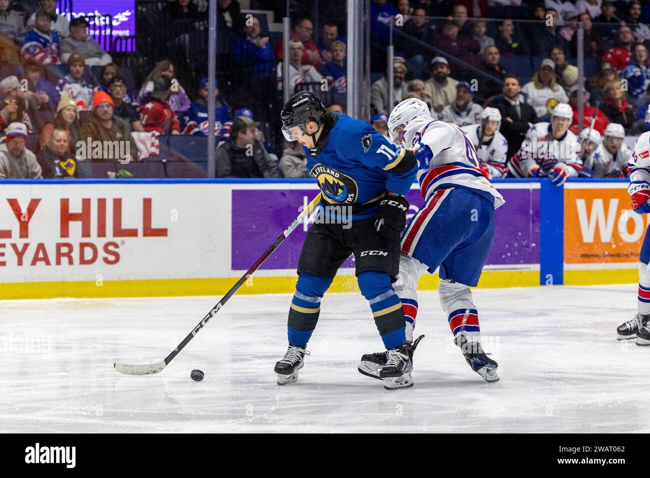 January 5th, 2024: Cleveland Monsters forward James Malatesta (11 ...