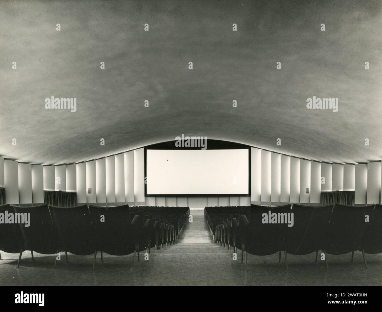 Vigna clara hi-res stock photography and images - Alamy