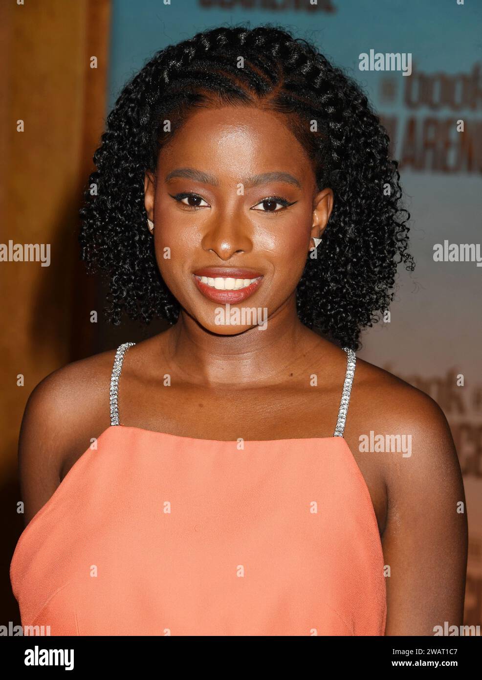 Amanda gorman hi-res stock photography and images - Alamy