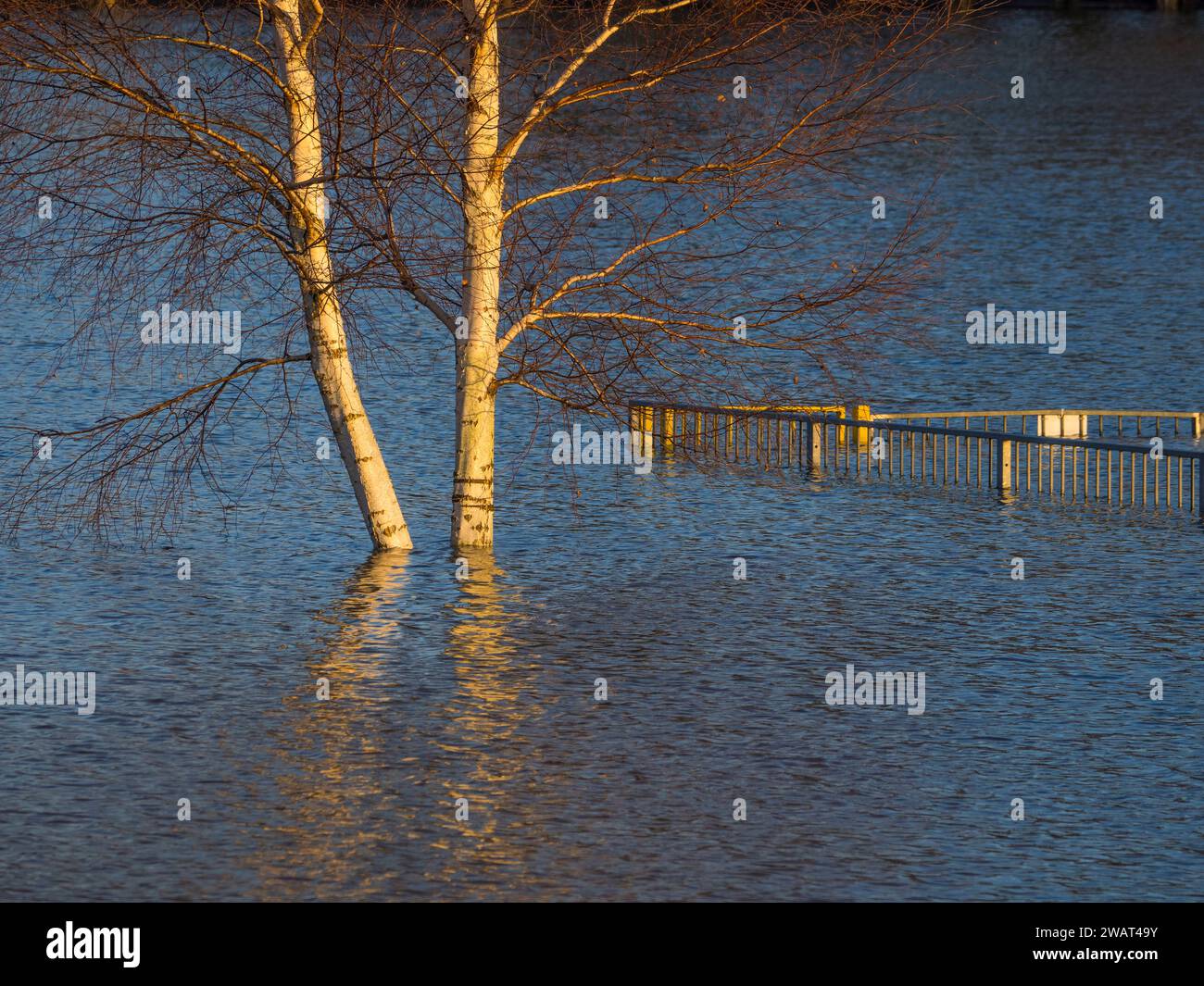 Underwater Playground, Flooding, River Thames, Caversham, Reading ...