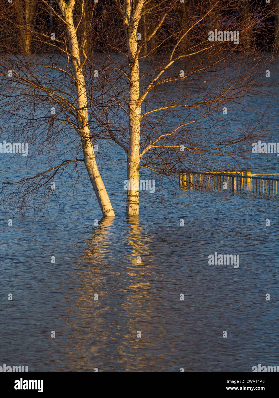 Underwater Playground, Flooding, River Thames, Caversham, Reading ...
