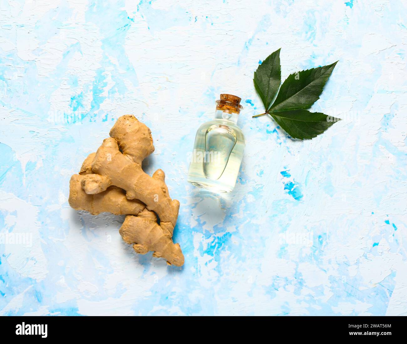 Bottle of ginger cosmetic oil and leaves on light blue background Stock ...