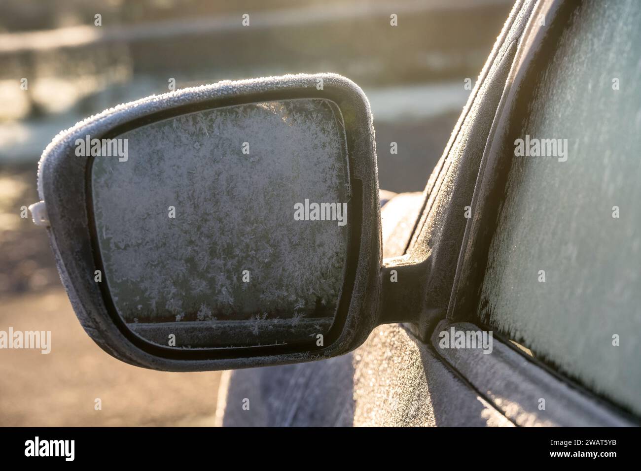Winter weather reporter hi-res stock photography and images - Alamy