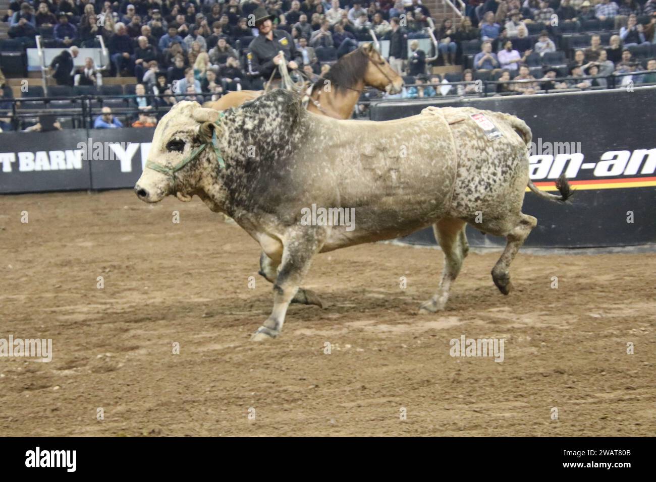 Madison Square Garden, 4 Pennsylvania Plaza, New York, NY 10001 USA ...