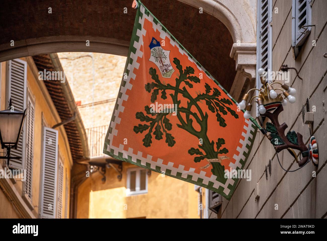 Contrade flag of the Selva-Rhino city district hanging in a street in ...