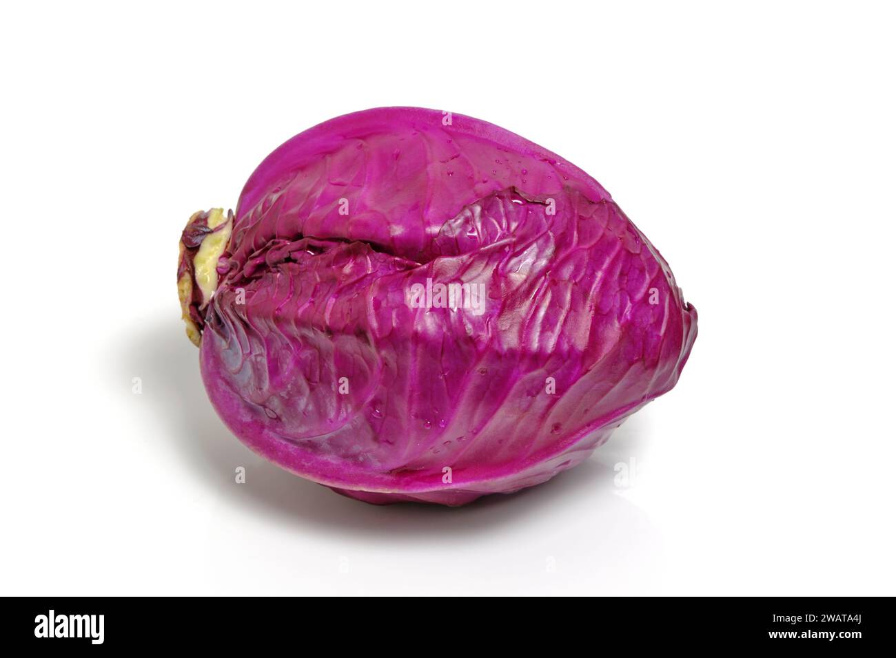 Red cabbage white background. Healthy vegetables Stock Photo - Alamy