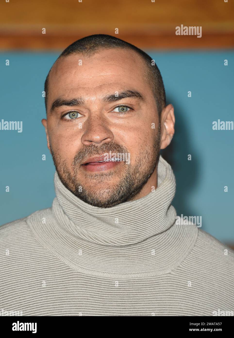 Los Angeles, USA. 05th Jan, 2024. Jesse Williams arriving to Sony's ...
