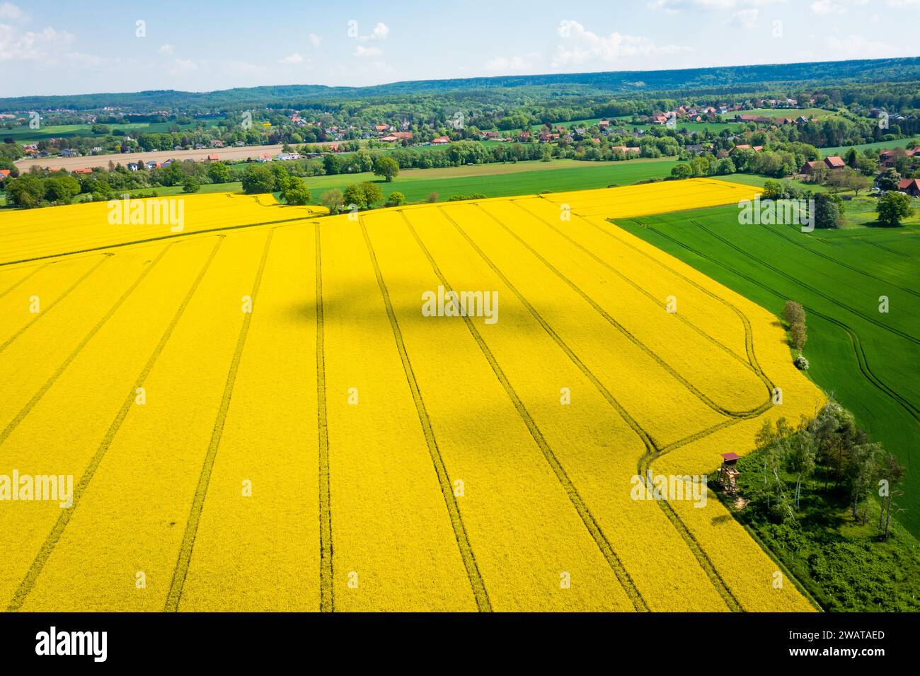 Rapeseed field aerial view hi-res stock photography and images - Alamy
