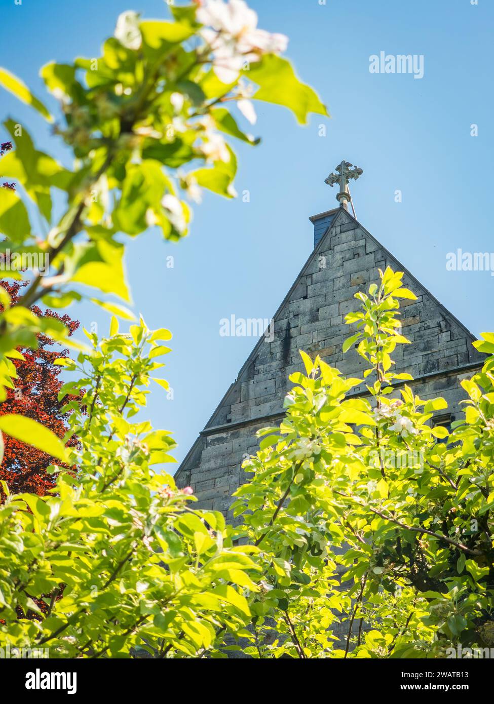 christian cross on top of the church seen through the trees Stock Photo ...