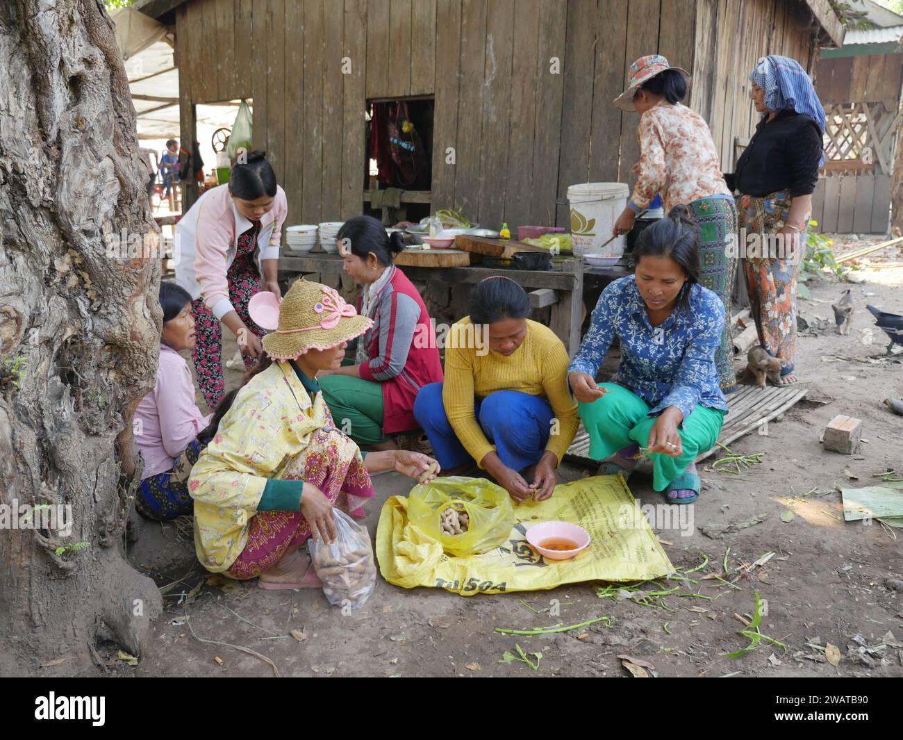 Cambodia stung hi-res stock photography and images - Alamy