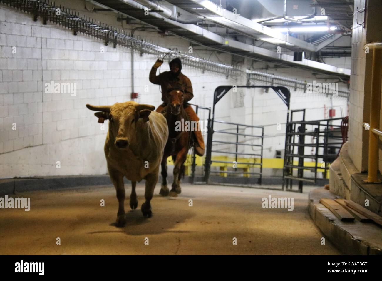 Madison Square Garden, 4 Pennsylvania Plaza, New York, NY 10001 USA ...
