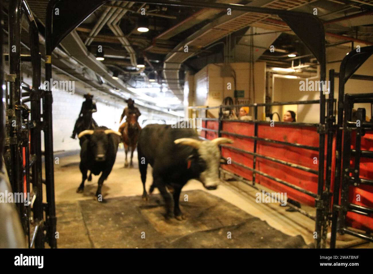 Madison Square Garden, 4 Pennsylvania Plaza, New York, NY 10001 USA ...