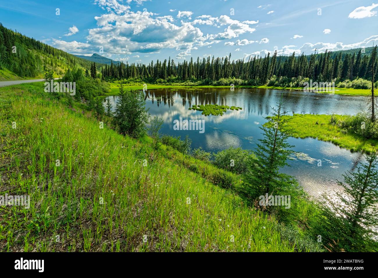 Cassiar hi-res stock photography and images - Alamy
