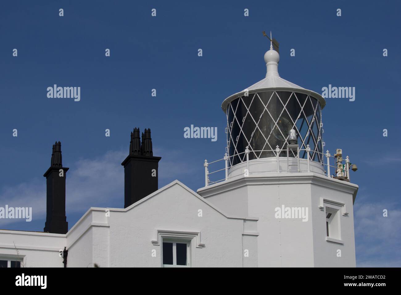 Lighthouse lizard hi-res stock photography and images - Alamy