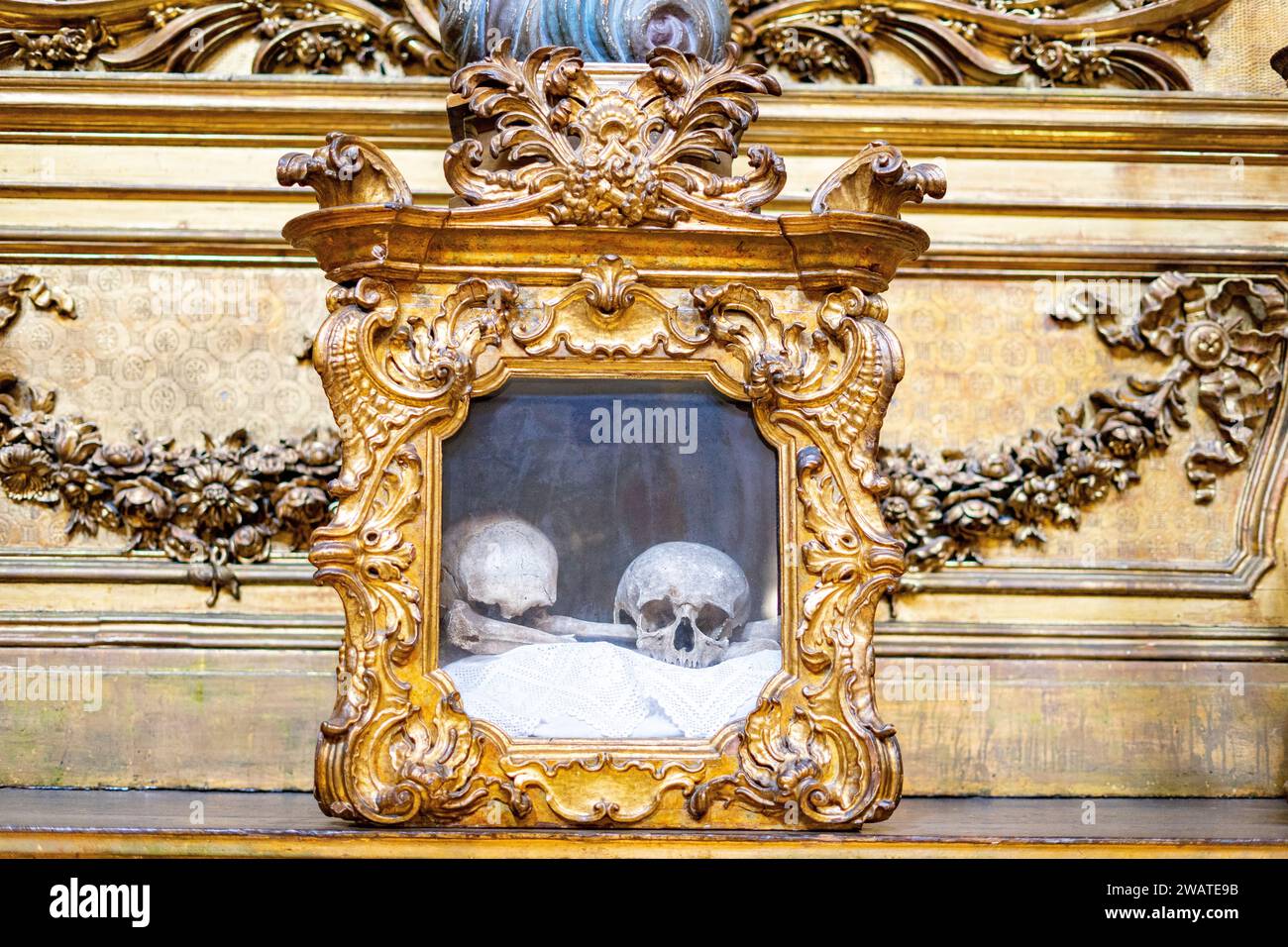 Inside of skull hi-res stock photography and images - Alamy