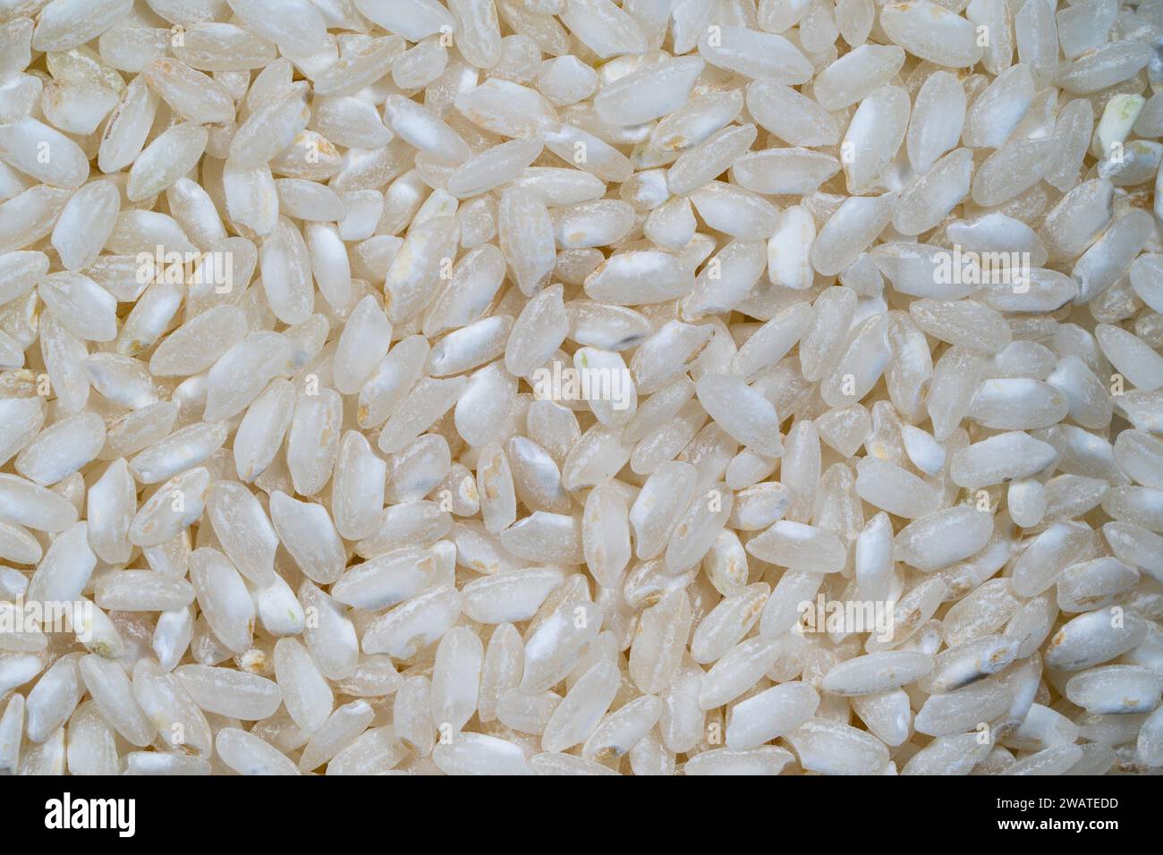 set of dry white rice grains, ready to use in cooking Stock Photo - Alamy
