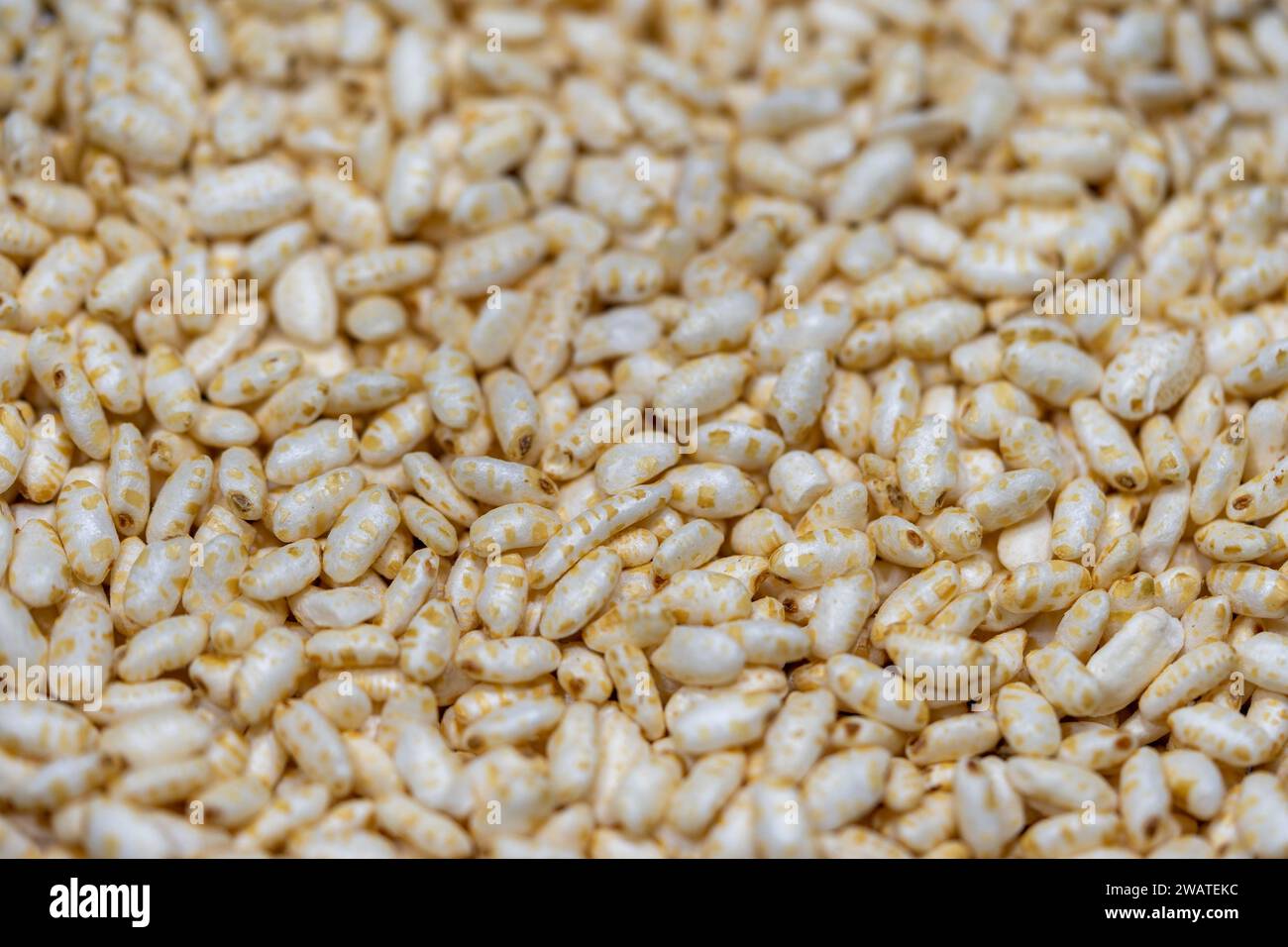 macrophotography of several puffed rice grains Stock Photo - Alamy