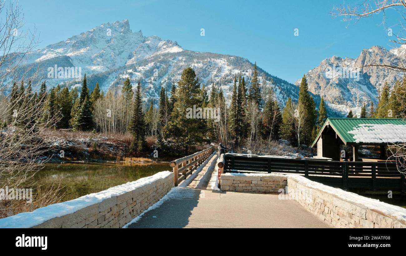 Pine trees wyoming hi-res stock photography and images - Alamy