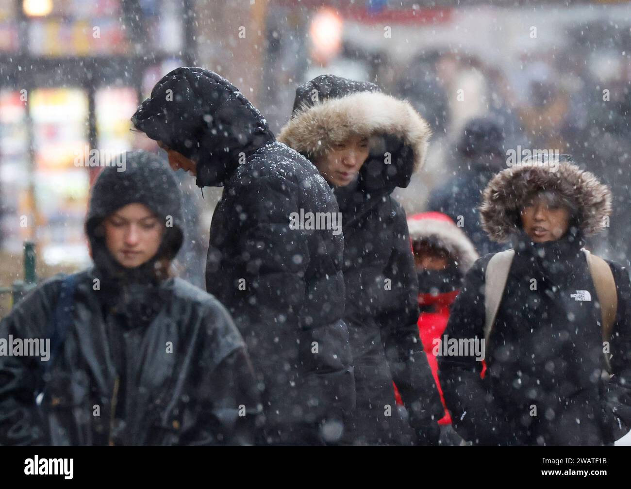 New York, United States. 06th Jan, 2024. Pedestrians bundled up and ...