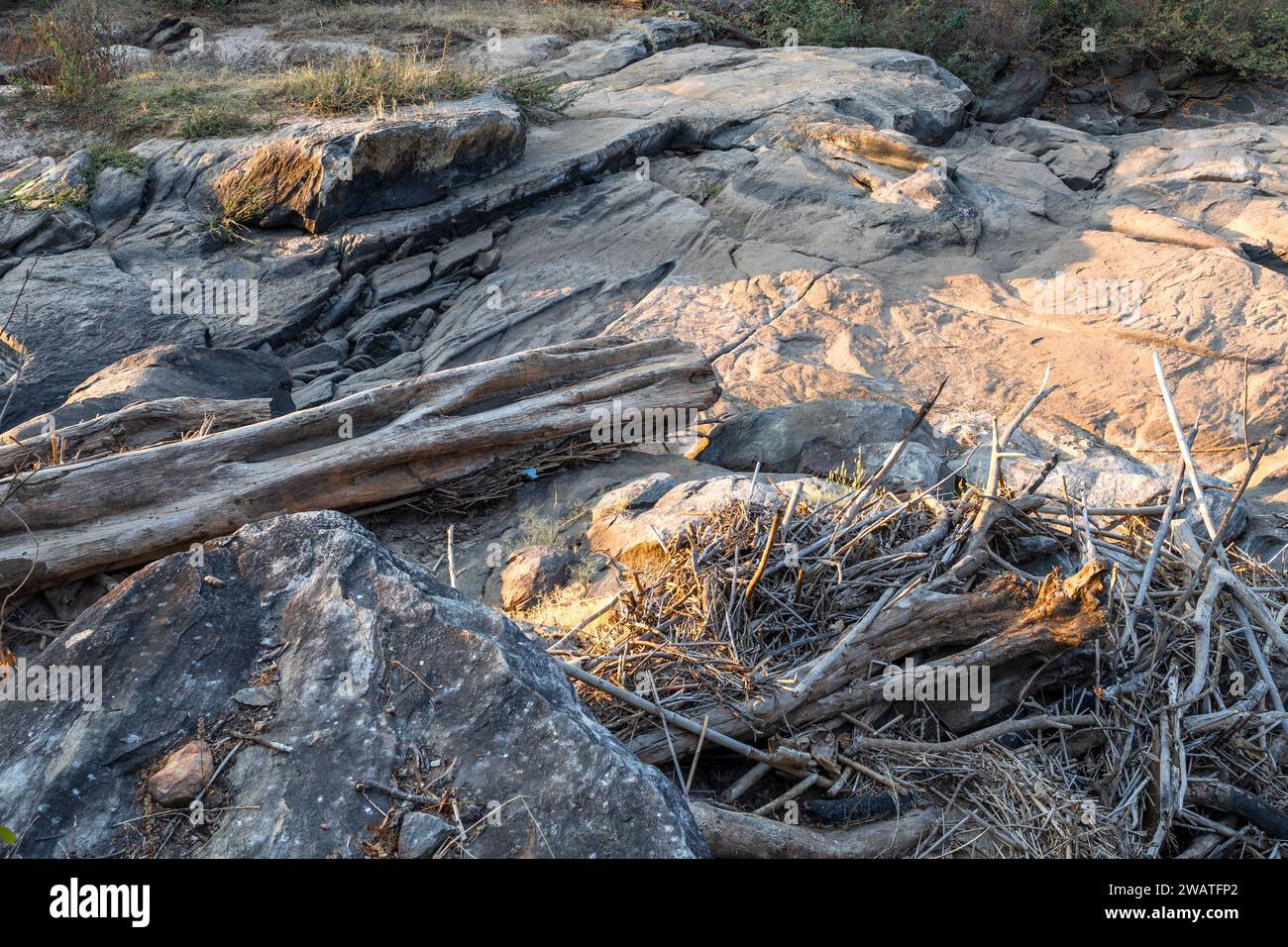 Debris from flooded river, Bua river, Dusk, Nkhotakota Wildlife Reserve ...
