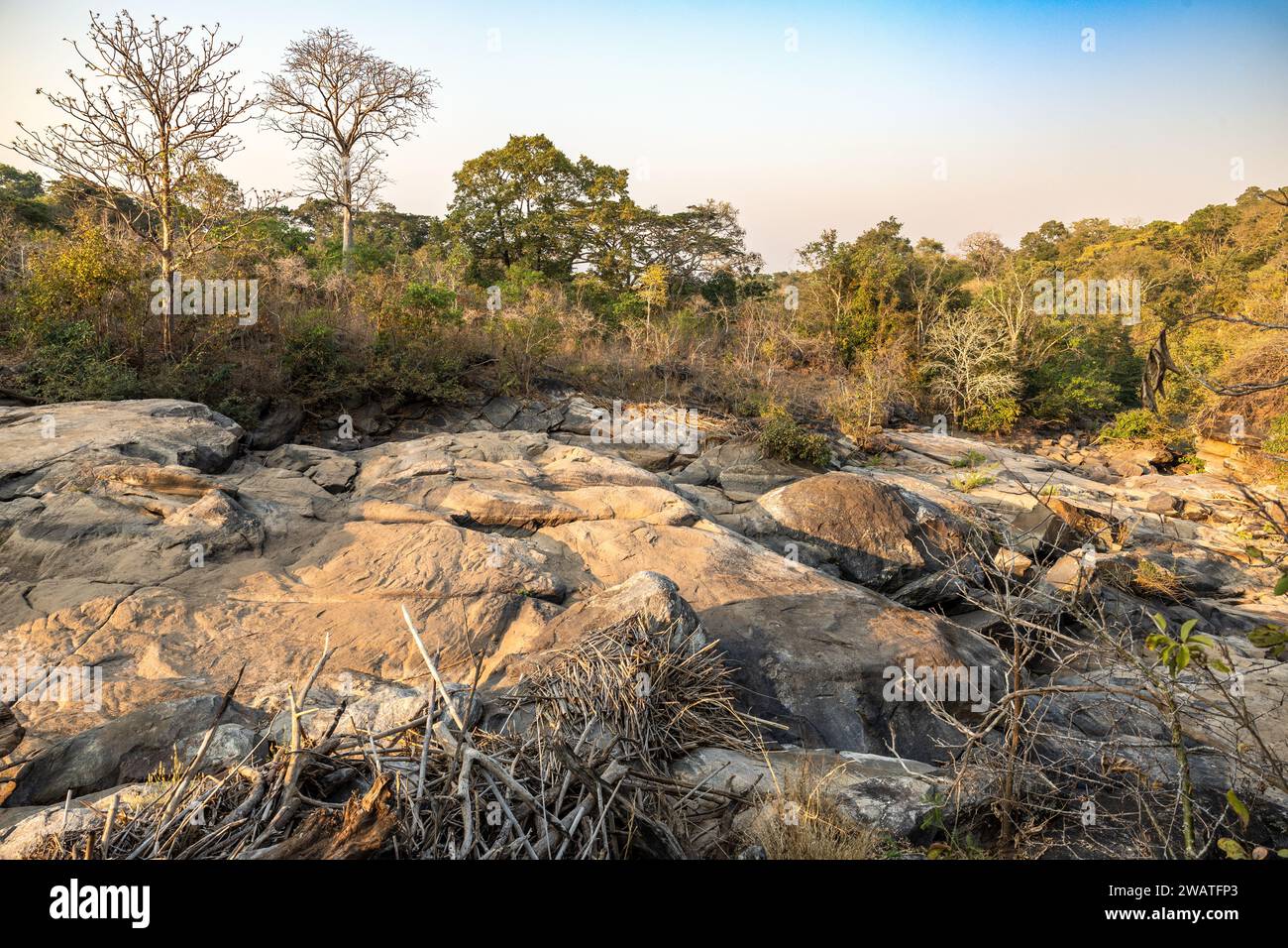 Debris from flooded river, Bua river, Dusk, Nkhotakota Wildlife Reserve ...