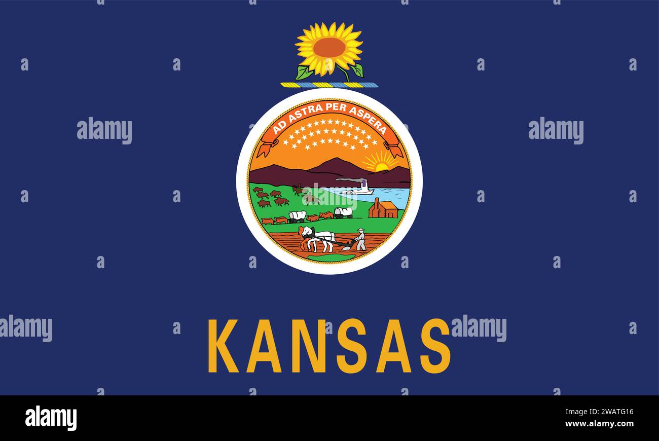 High detailed flag of Kansas. Kansas state flag, National Kansas flag ...