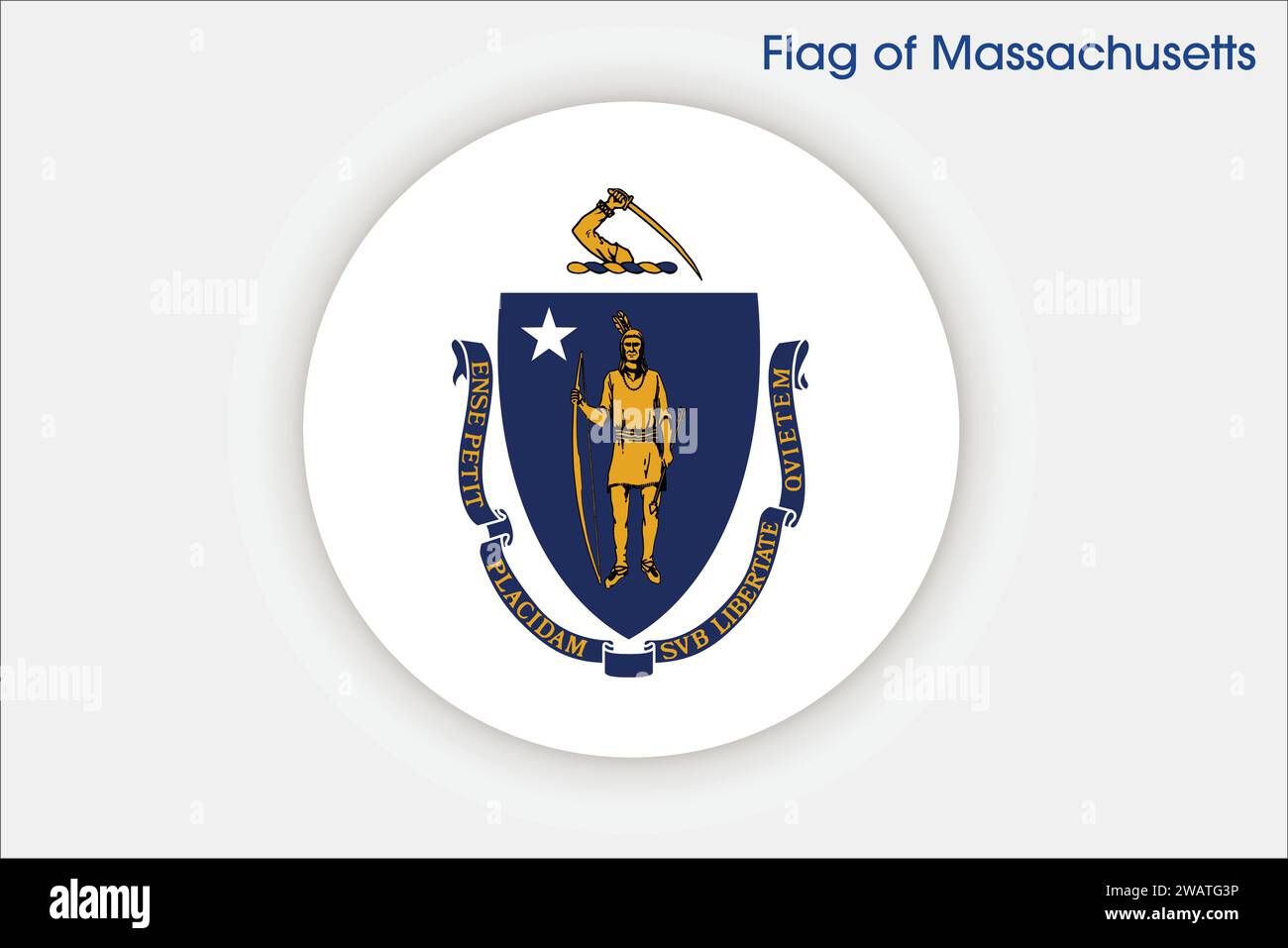 High detailed flag of Massachusetts. Massachusetts state flag, National ...