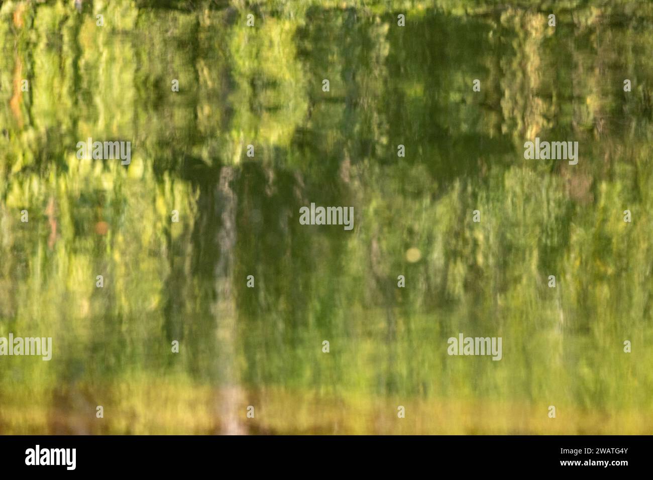 Bua river malawi hi-res stock photography and images - Alamy