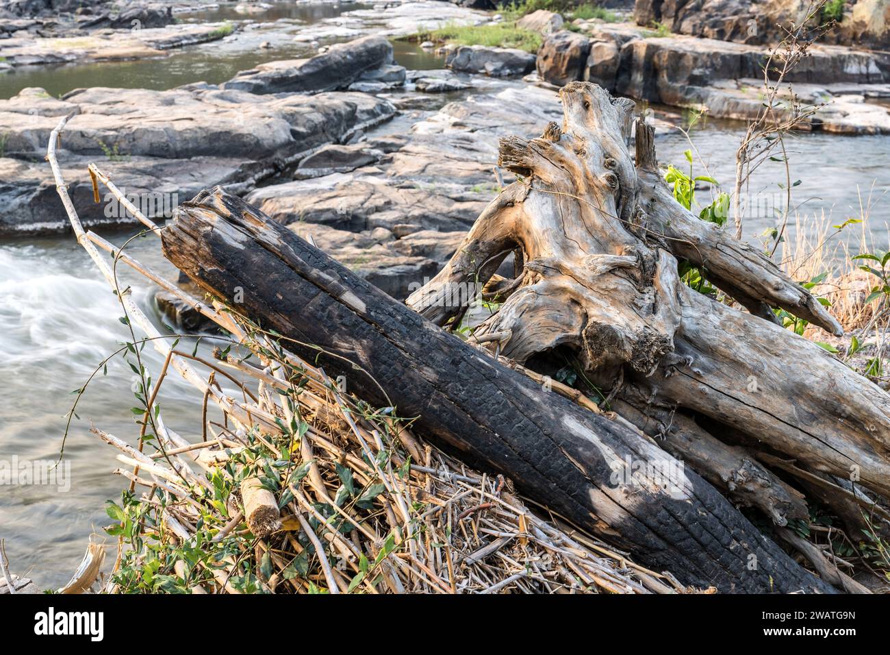 Debris from flooded river, Bua river, Dusk, Nkhotakota Wildlife Reserve ...
