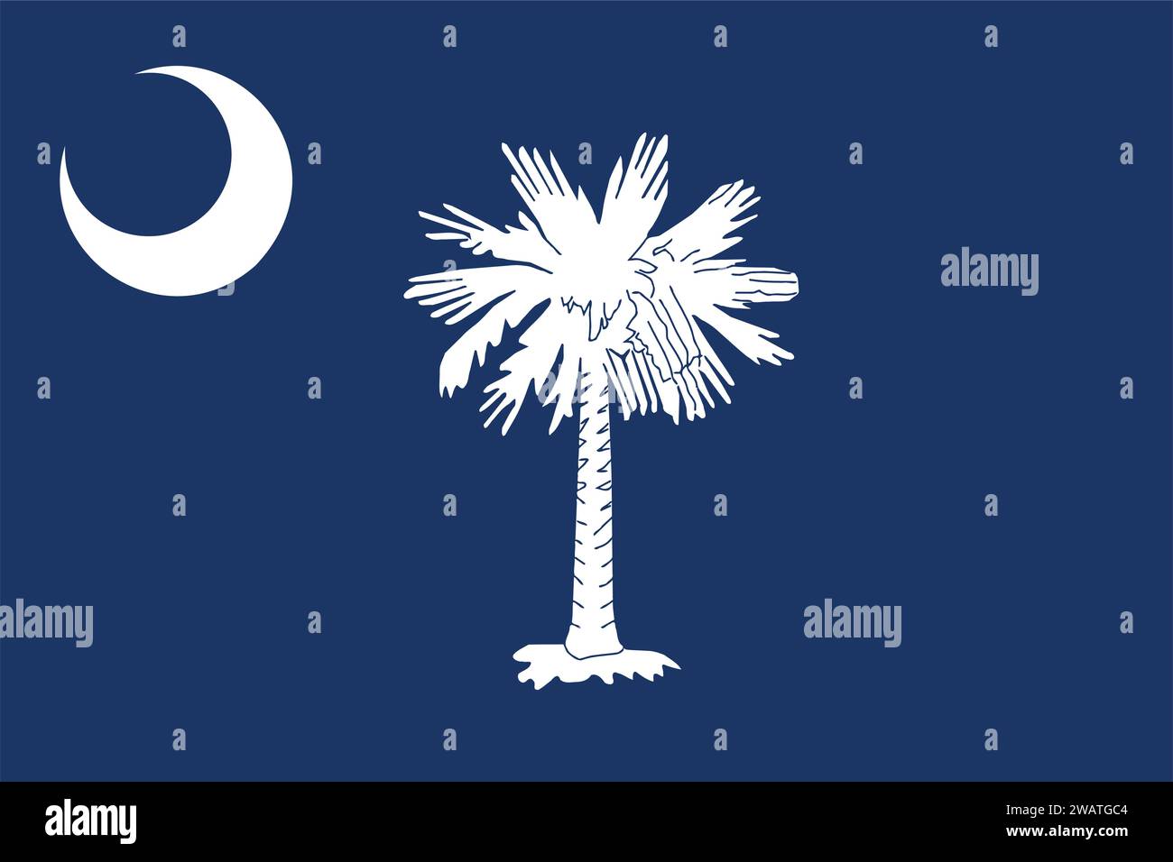High detailed flag of South Carolina. South Carolina state flag ...