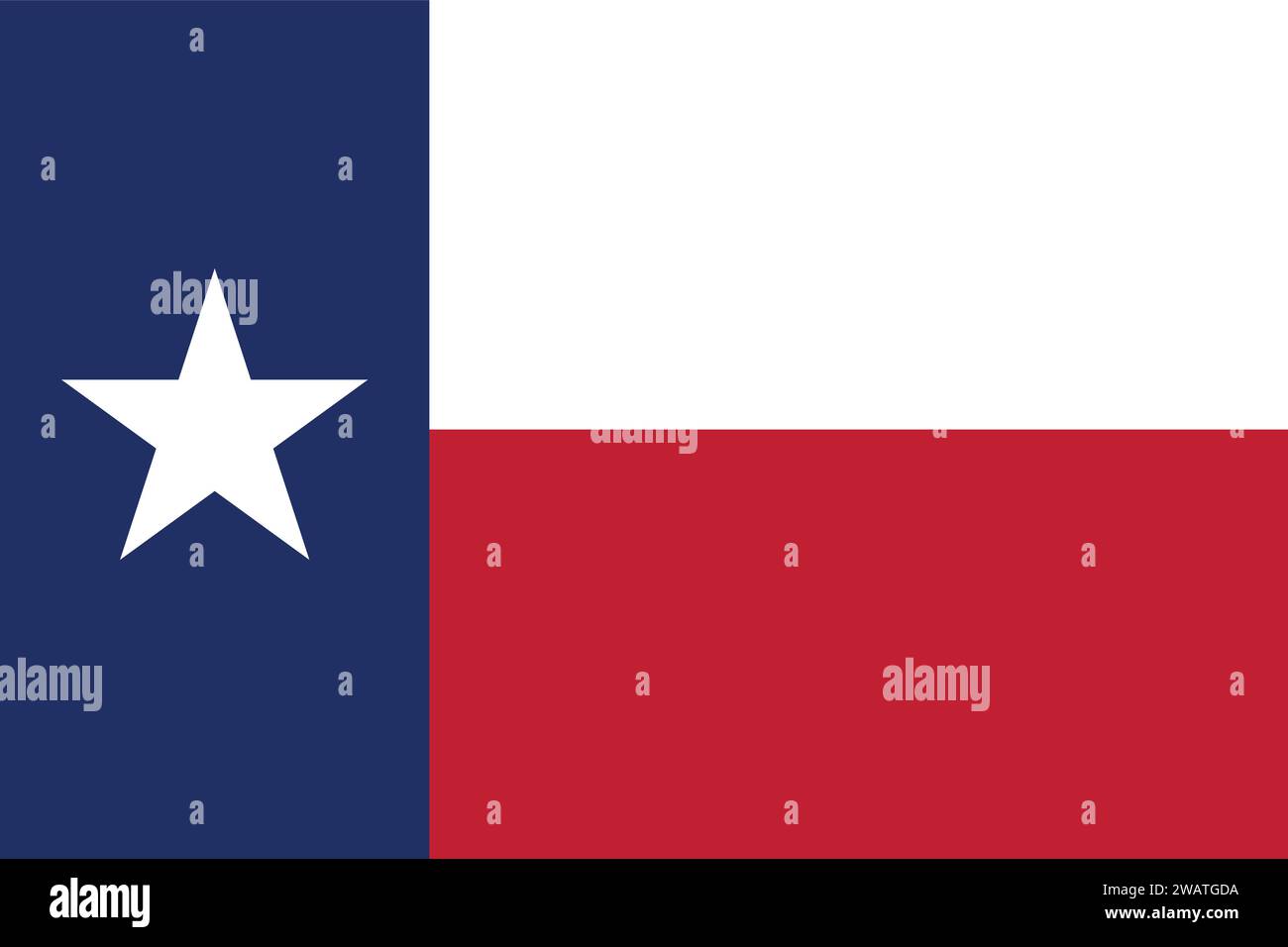 High detailed flag of Texas. Texas state flag, National Texas flag ...