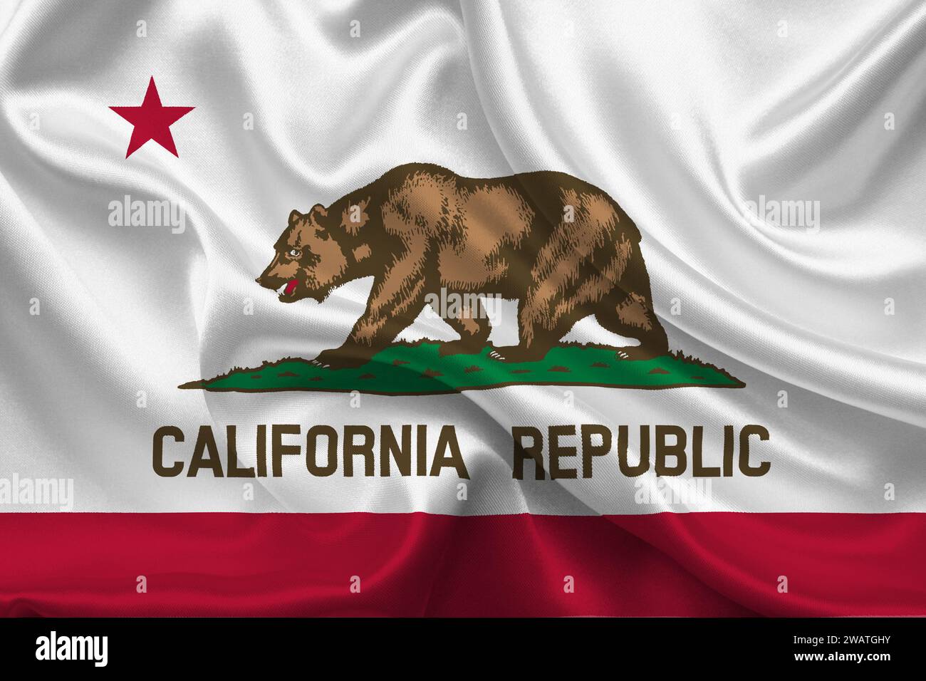 High detailed flag of California. California state flag, National ...