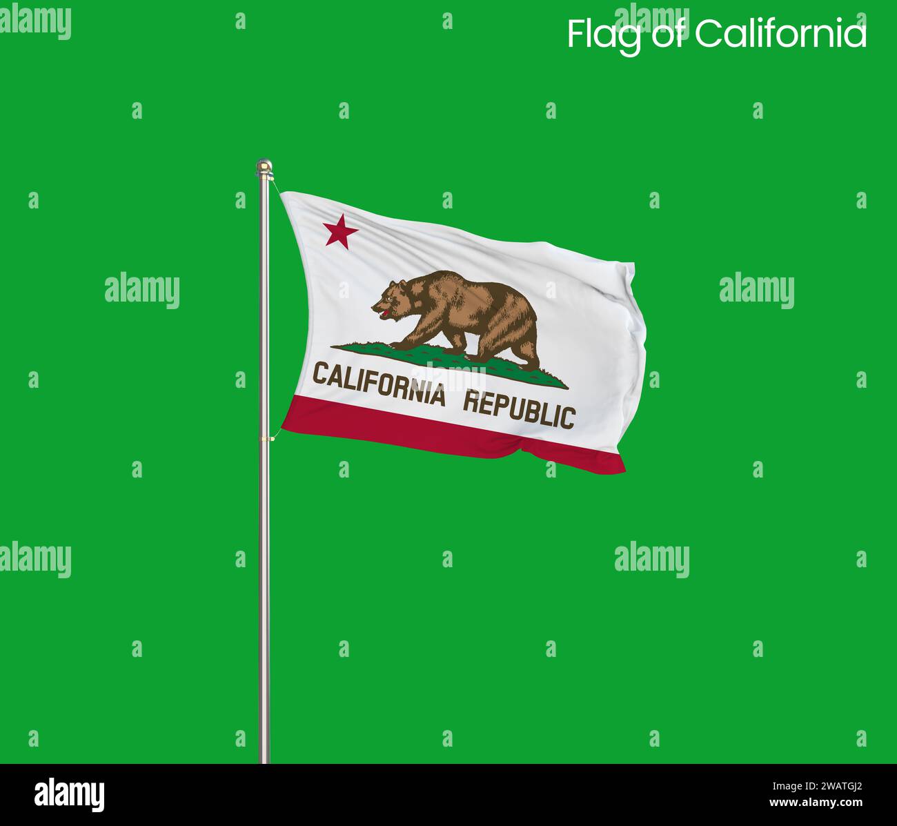 High detailed flag of California. California state flag, National ...