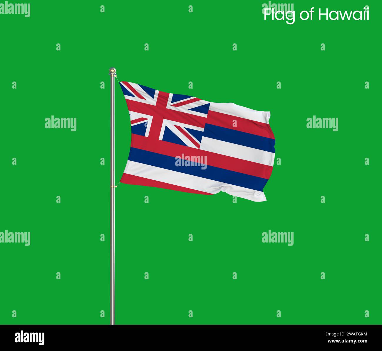 High detailed flag of Hawaii. Hawaii state flag, National Hawaii flag ...