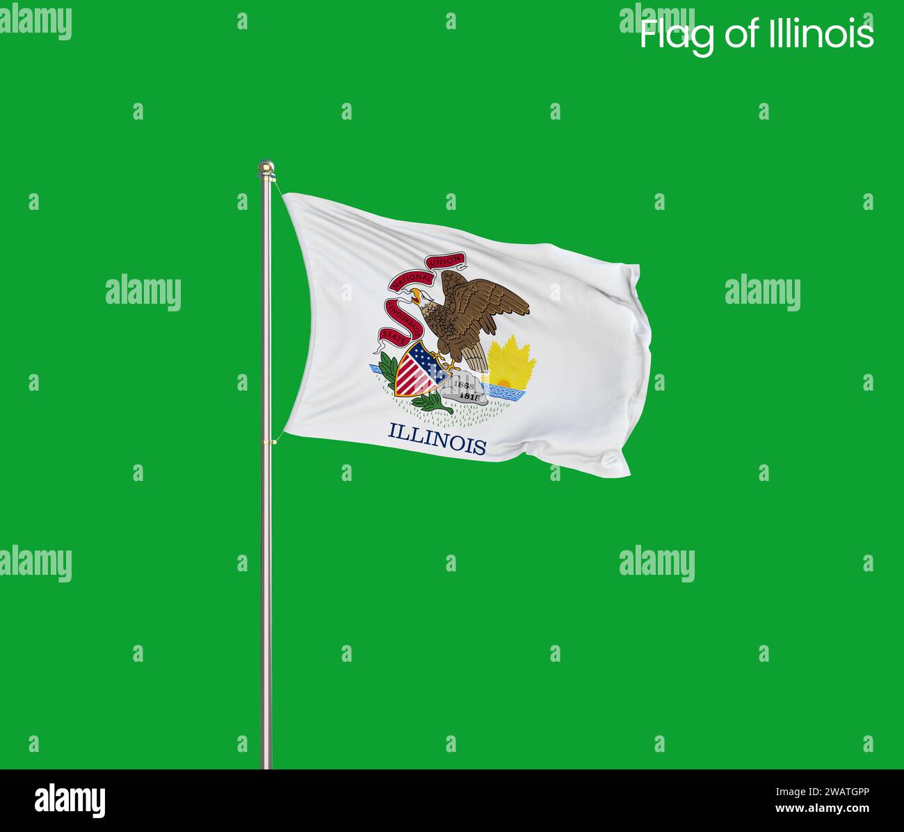 High detailed flag of Illinois. Illinois state flag, National Illinois ...