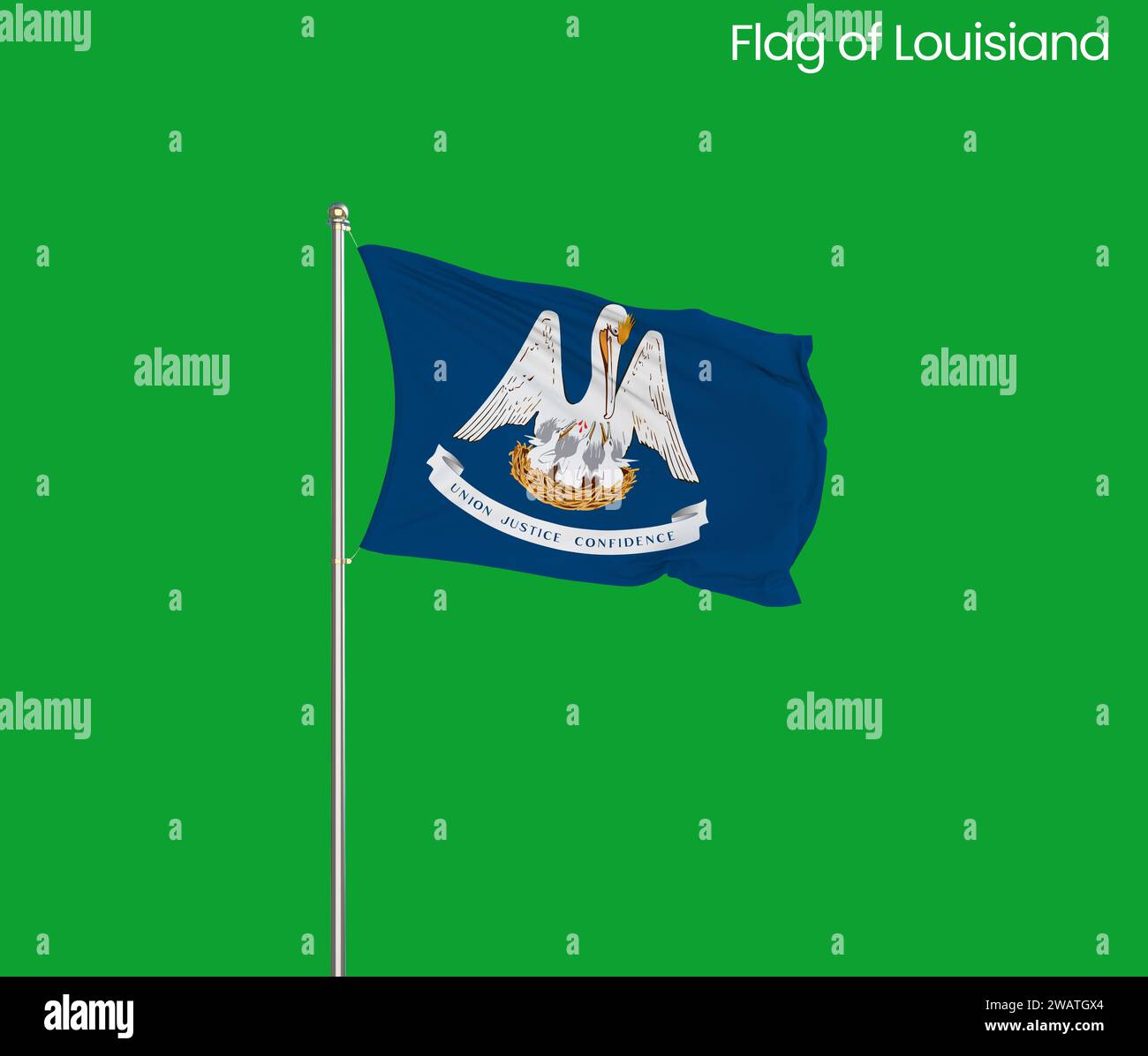 High detailed flag of Louisiana. Louisiana state flag, National ...