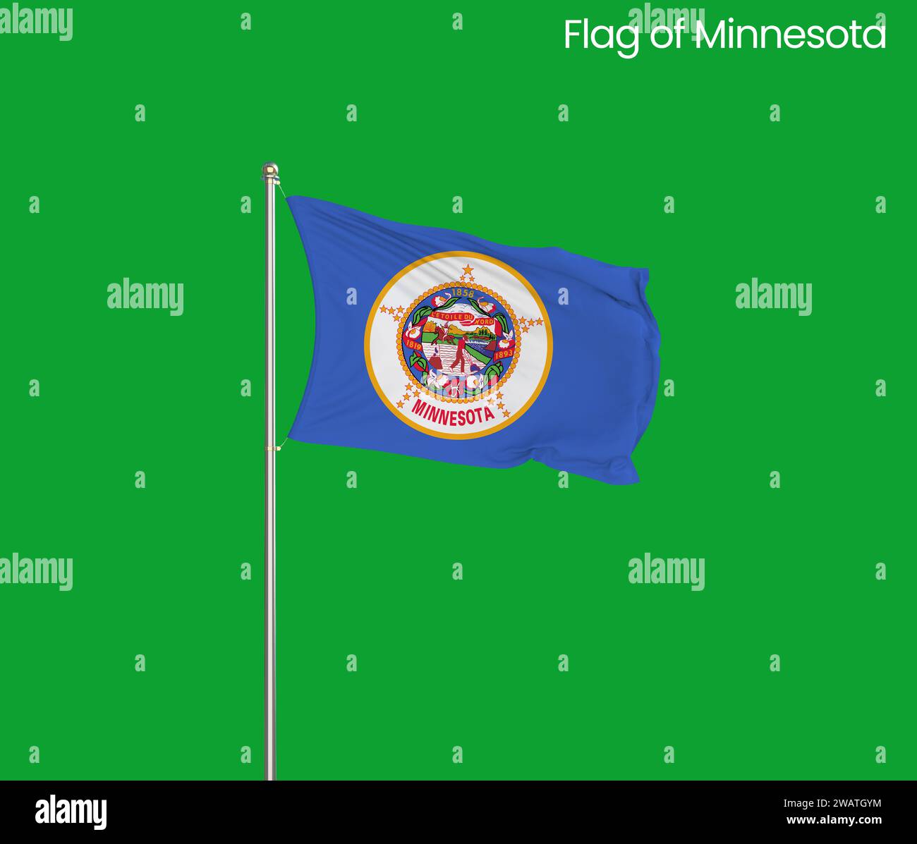 High detailed flag of Minnesota. Minnesota state flag, National ...