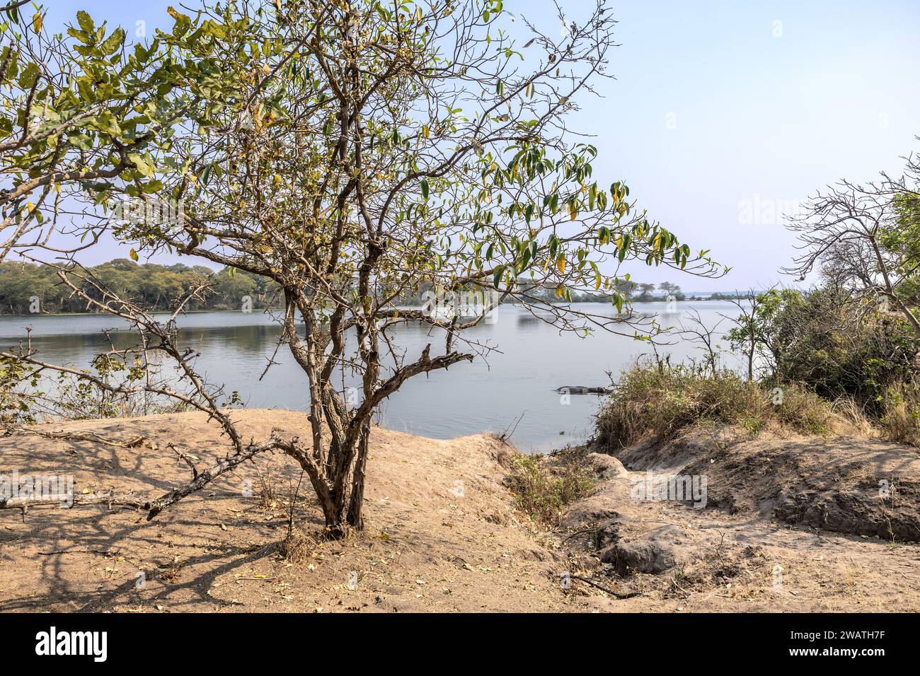 Malawi africa shire hi-res stock photography and images - Alamy