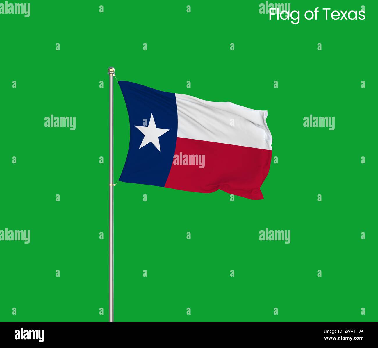 High detailed flag of Texas. Texas state flag, National Texas flag ...