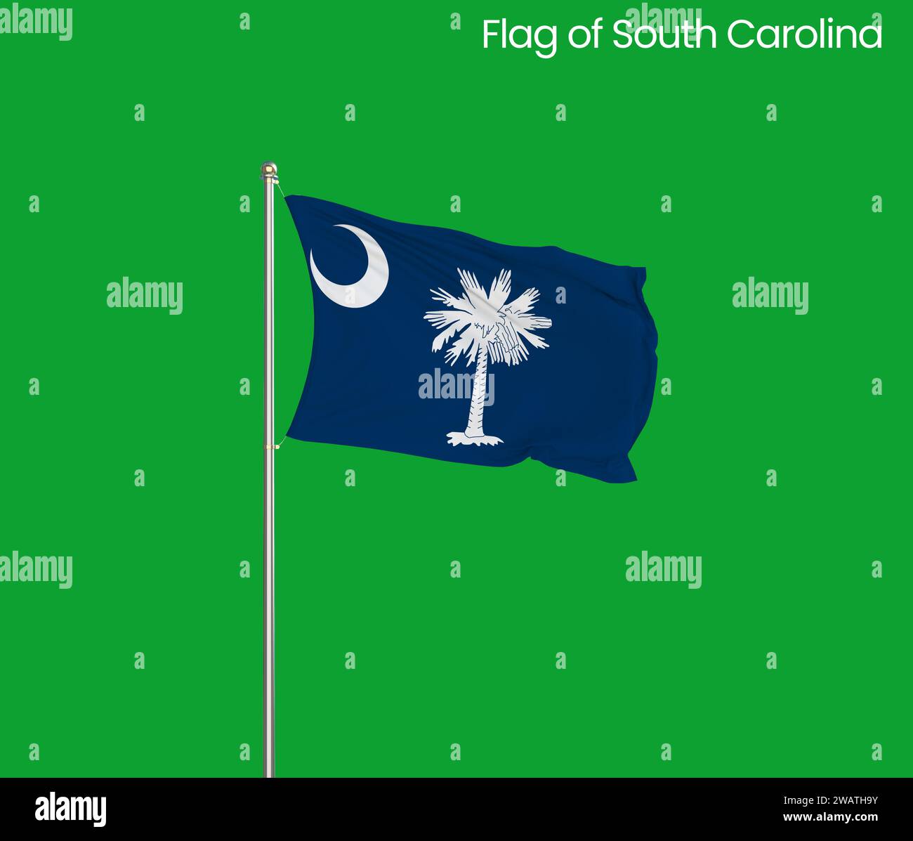 High detailed flag of South Carolina. South Carolina state flag ... High detailed flag of South Carolina. South Carolina state flag ...