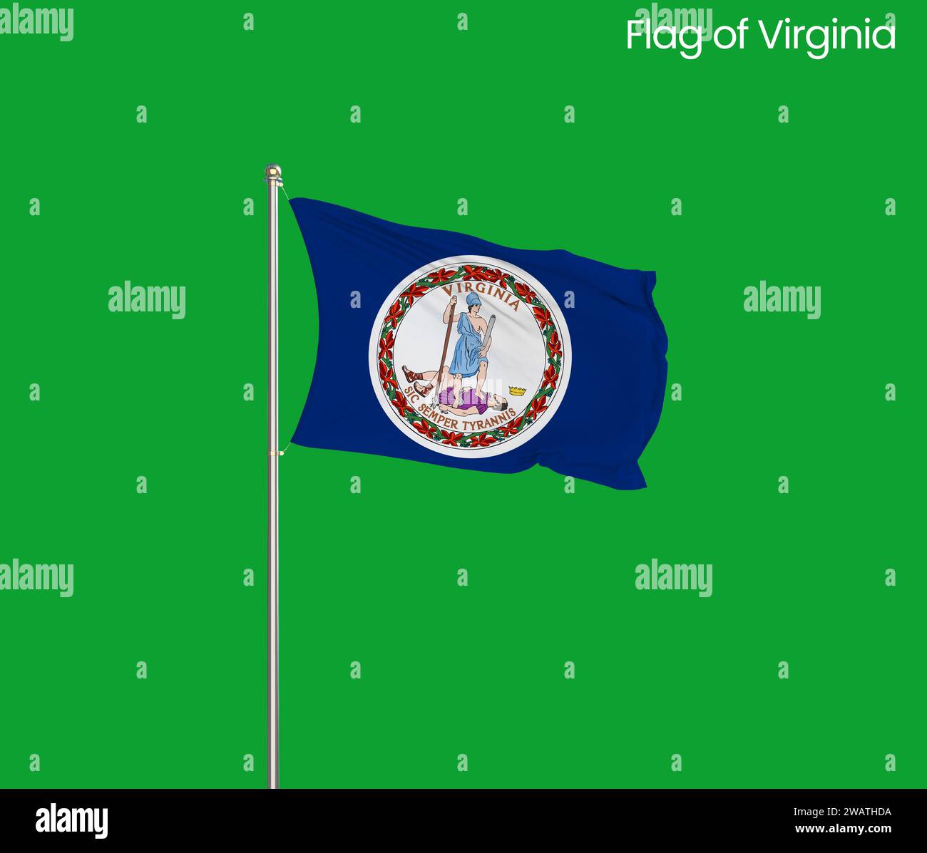 High detailed flag of Virginia. Virginia state flag, National Virginia ...